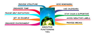 What is executive functioning, and why is it important in your ...